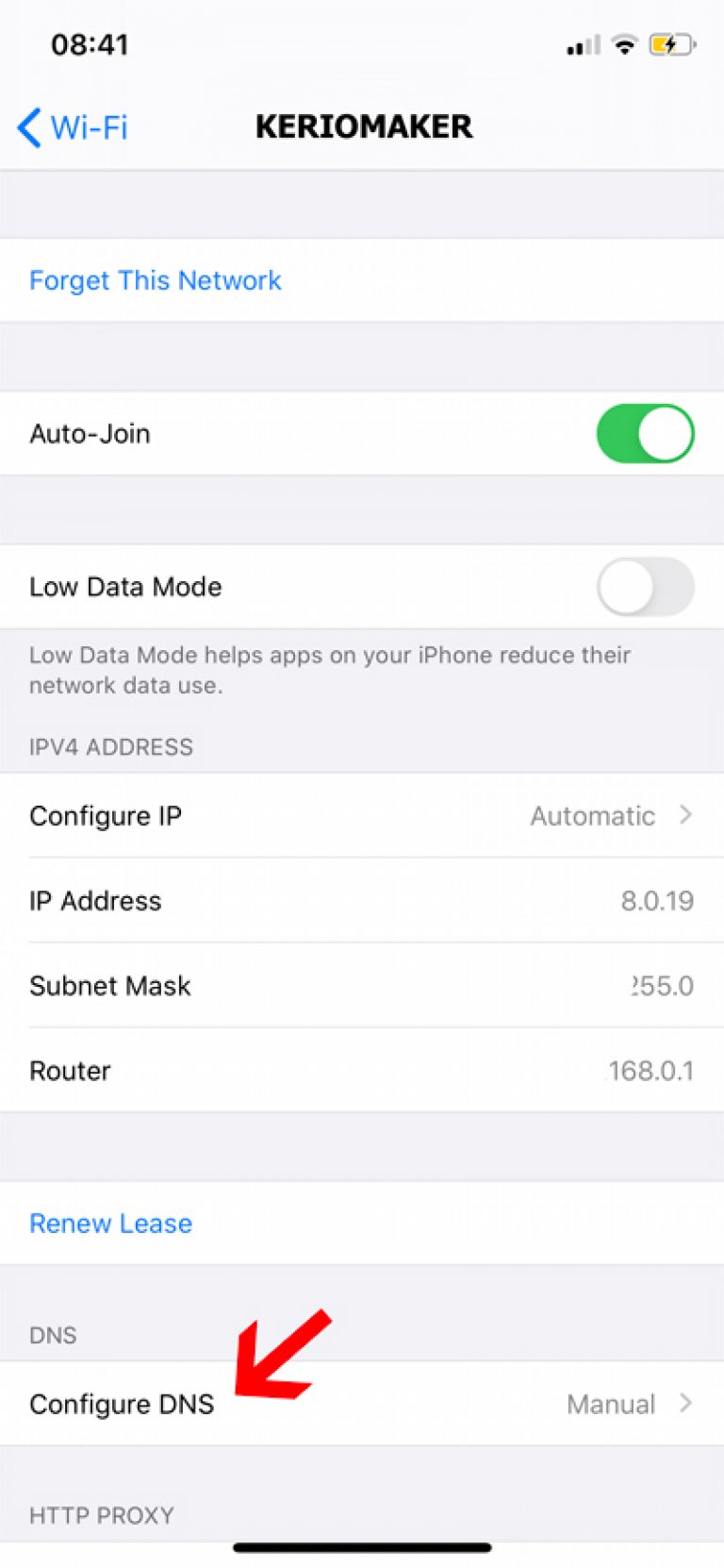 تنظیمات DNS در IOS برای آیفون و آیپد | Kerio Maker